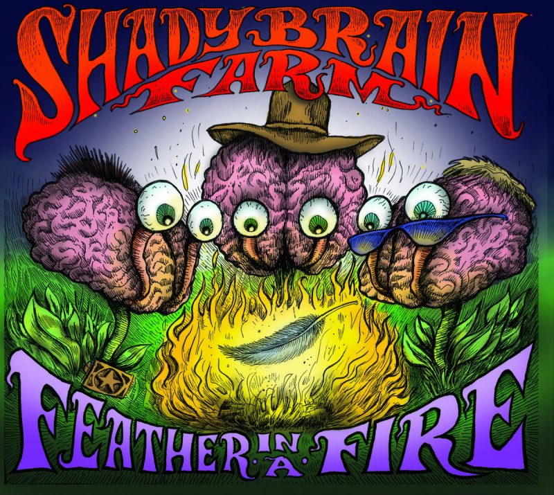 Music - Shady Brain Farm: Feather In A Fire - NZ Musician