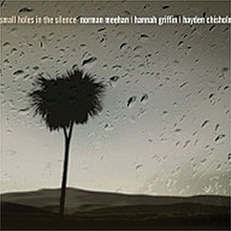 Music - Norman Meehan, Hannah Griffin and Hayden Chisholm: Small Holes ...