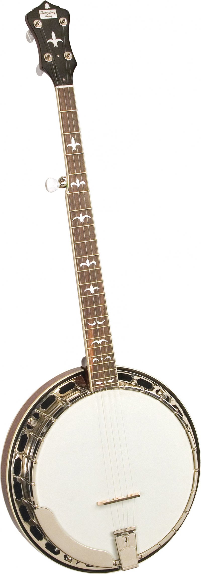 Feature - Review: Banjos on Any Budget - NZ Musician