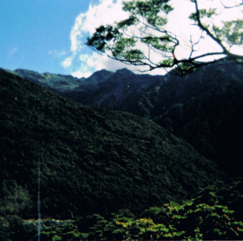 Music - Miromiro: Kembé Falls - NZ Musician