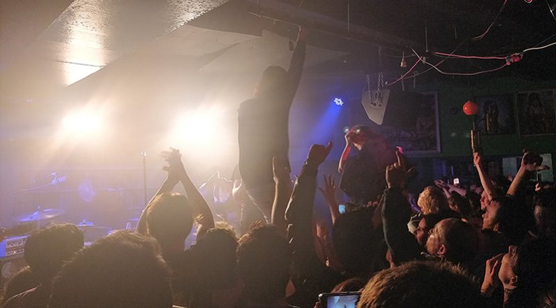 Events - Elemeno P Live At Meow (WGT), November 3 - NZ Musician