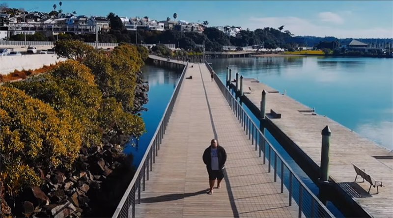 Music - Lani Alo: Alo I Ou Faiva - NZ Musician