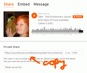 Lesson - Soundcloud - How To Share Your Music Discretely - NZ Musician